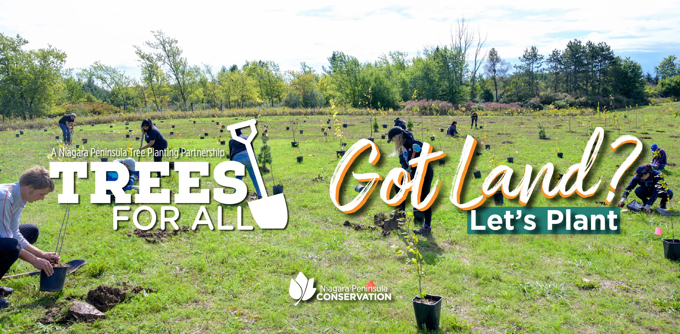 Tree planting partnership invites private landowners to participate in ...